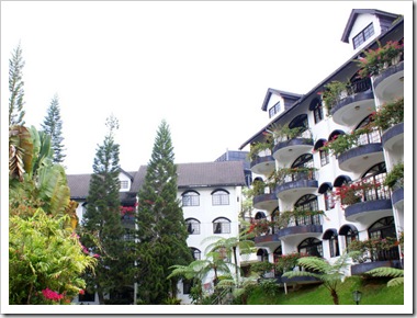 Life Thru The Lens: Strawberry Park Resort @ Cameron Highlands